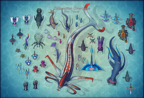 Subnautica Creatures | Caeora