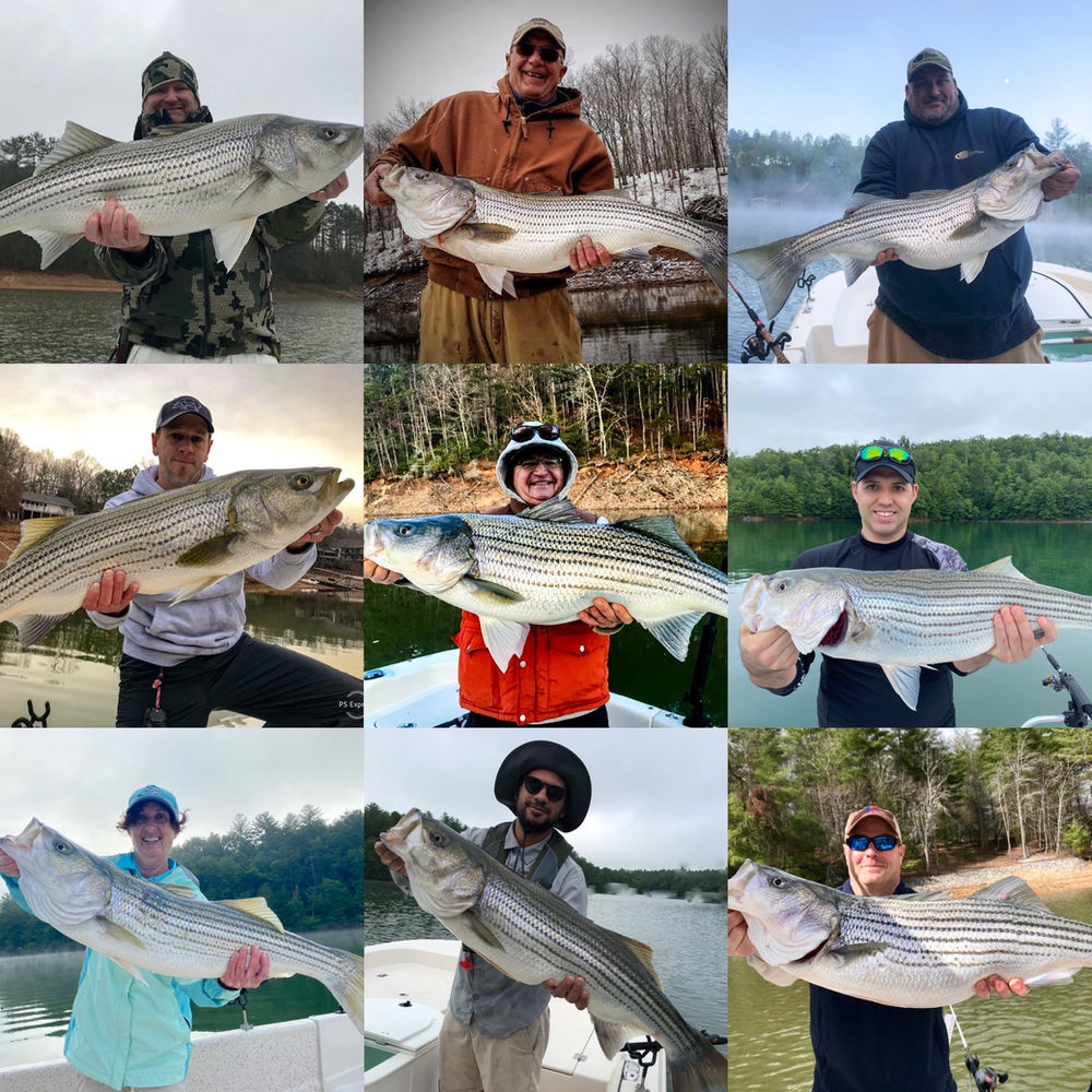 Lake Nottely & Lake Hiwassee Fishing Charters