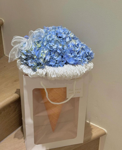 Hydrangea Ice Cream | Moonvella