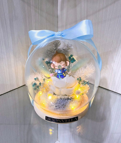 Glass Dome Figure Character | Moonvella