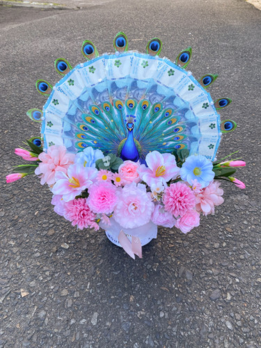 Peacock Money Starlight | Moonvella