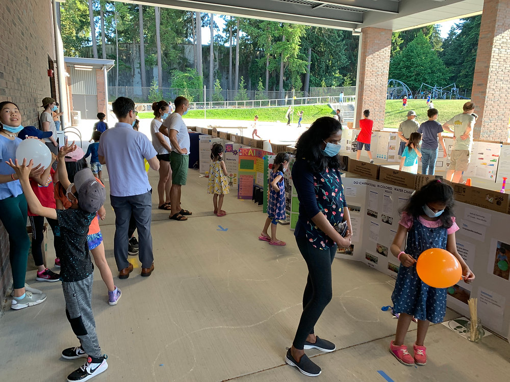 Return of the Science Fair