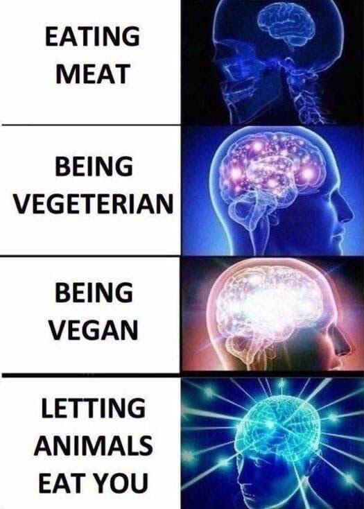 What’s a Galaxy Brain | Jake Explains the Galaxy Brain Mindset