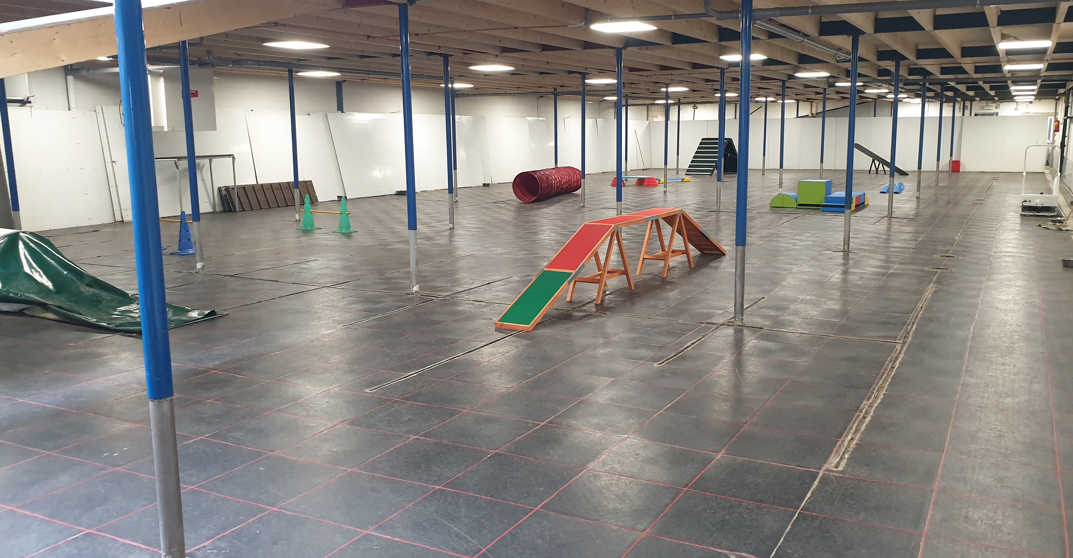 Hondengedragscentrum | Animal's Faith