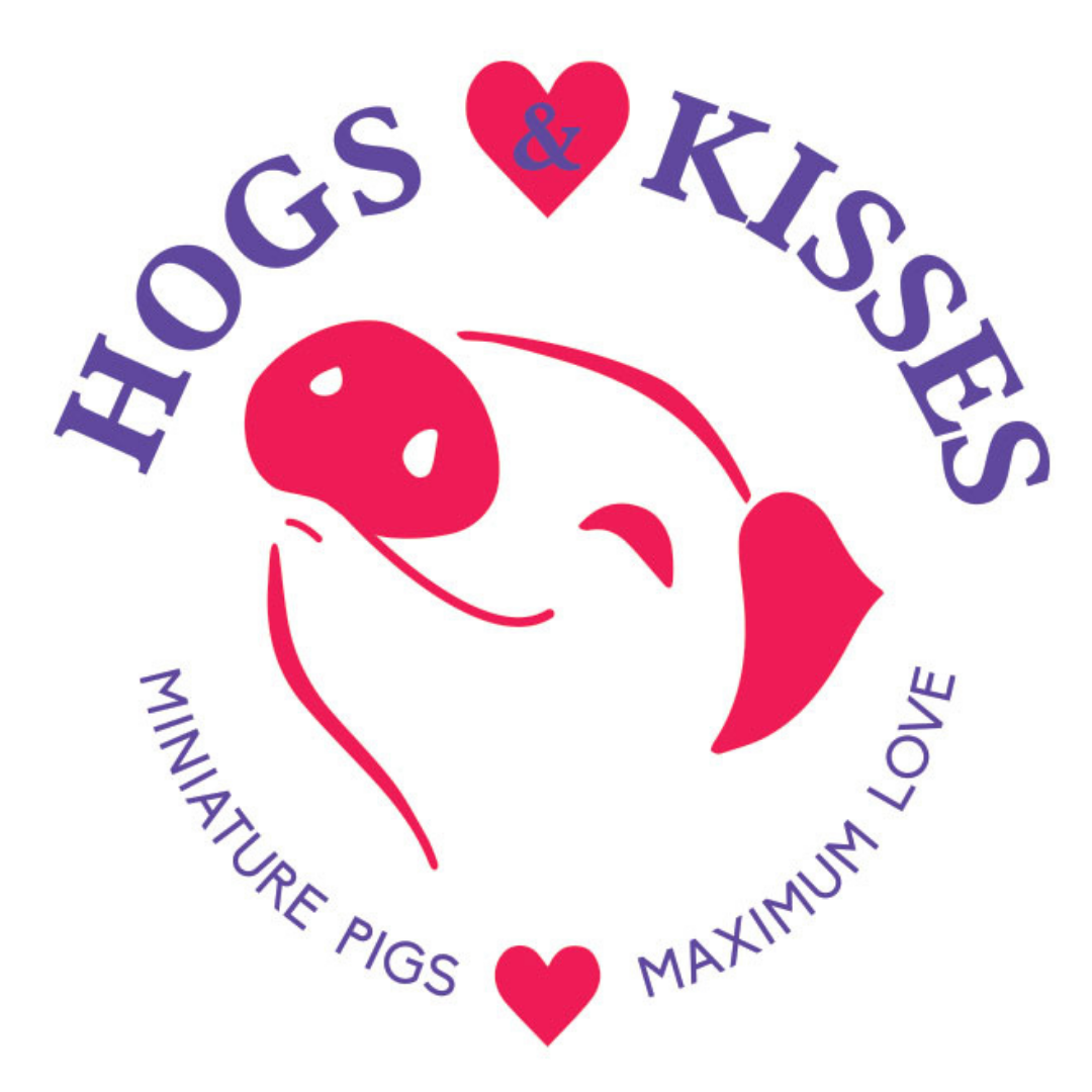 Home | Hogs & Kisses Mini Pigs