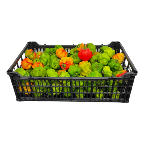 Caja de Chile Dulce 10kg | DAC Playa del Carmen