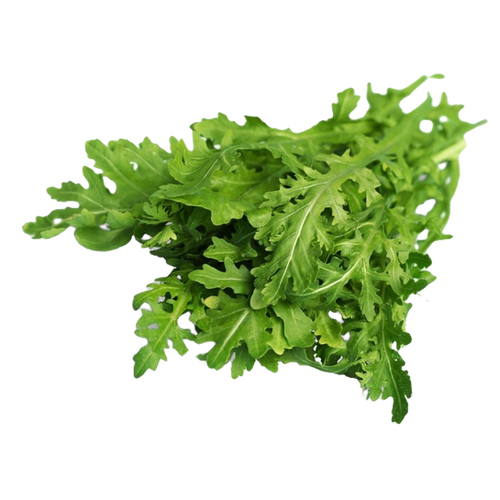 Lechuga Arugula 150gr | DAC Playa del Carmen