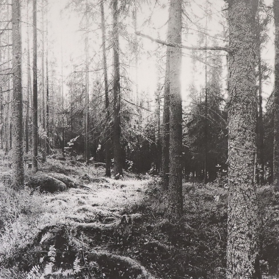 2021 works | yuichirosato