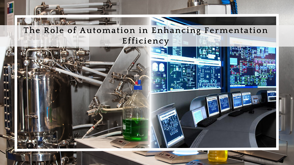 The Role of Automation in Enhancing Fermentation Efficiency