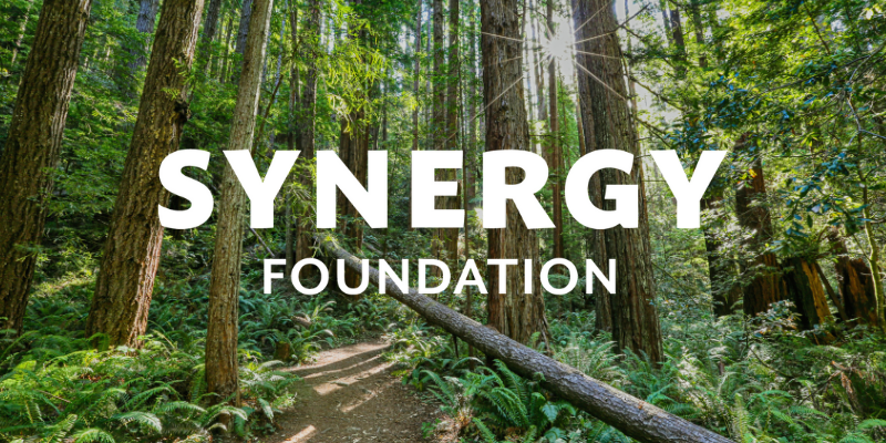 About Us | Synergy Foundation
