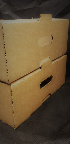 5lb Specialty Mushroom Box | Earth Angel