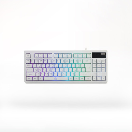 KEYBOARD EGA TYPE-K6 WHITE | Aclick