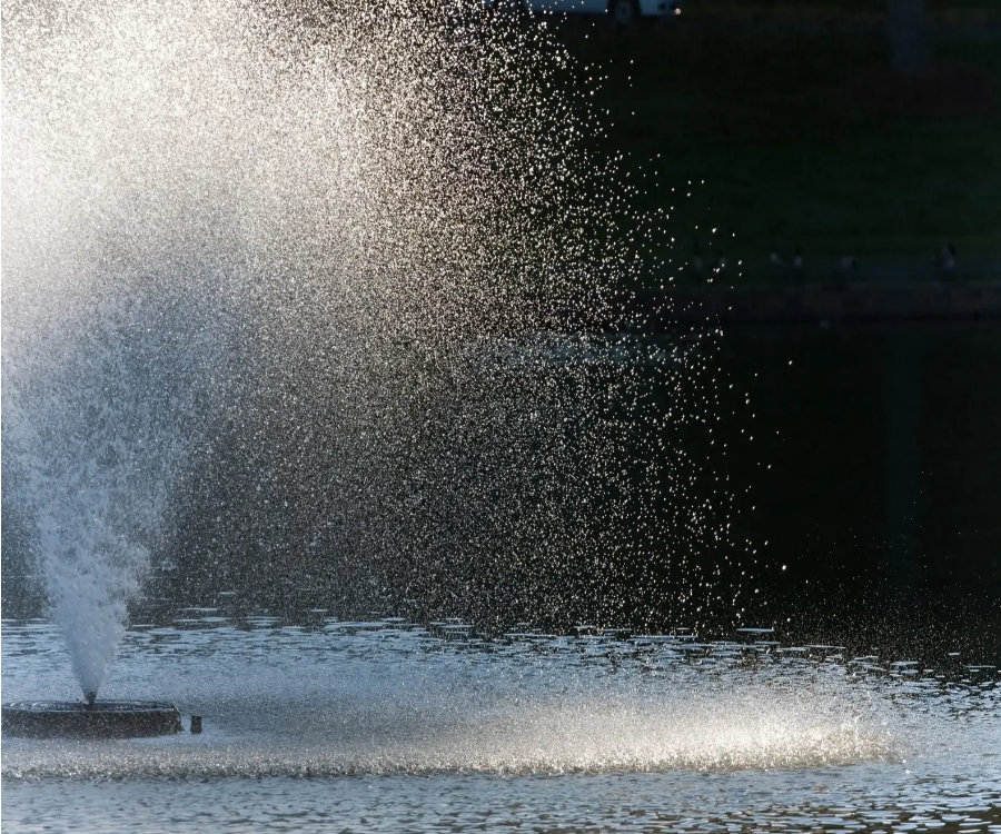 The Fountain of Life