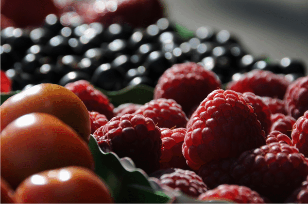 Self-cueillette fleurs /fruits / lègumes | ferme-des-authieux