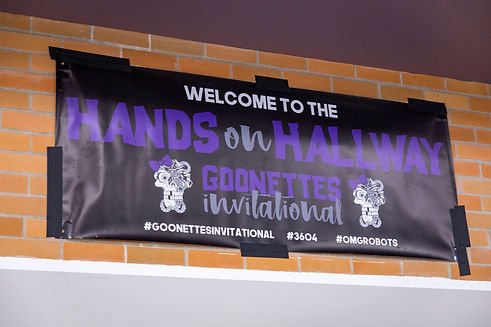 Home | Goonettes Invitational Michigan