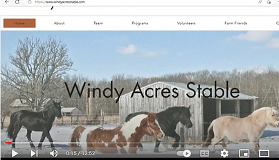 Volunteer training | Windy Acres Stables