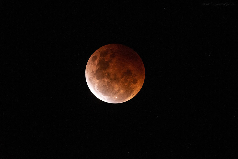 Red Moon Rising