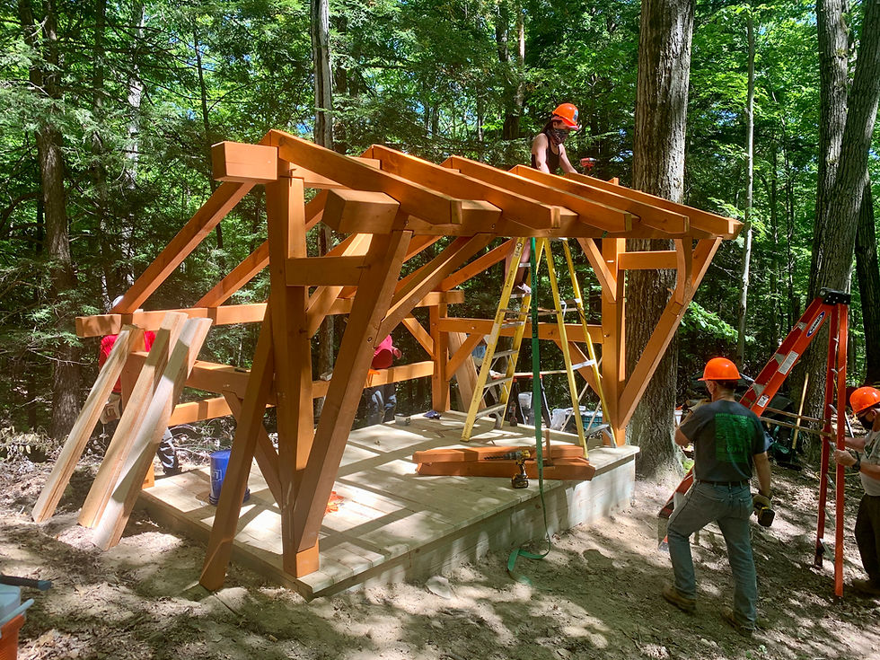Lean-to Shelters | bbtf