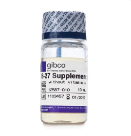 B-27™ Supplement (50X), minus vitamin A 12587010 | 루사이언스