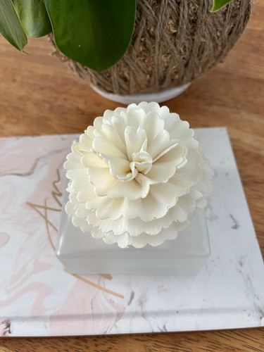 CARNATION FLOWER DIFFUSER | Lahla