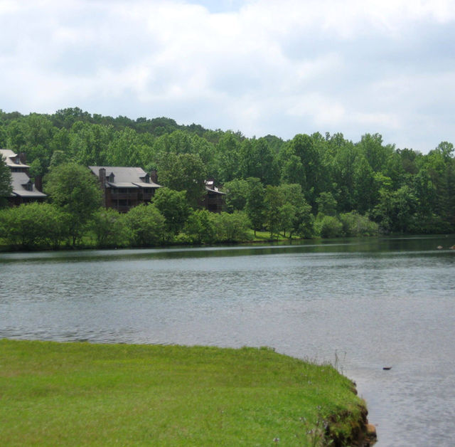 timber ridge clearing
