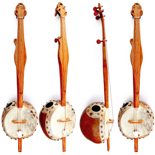 Calabash 5 string Banjo | Menzies Instruments