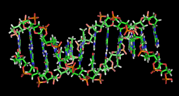 The Academic Double Helix