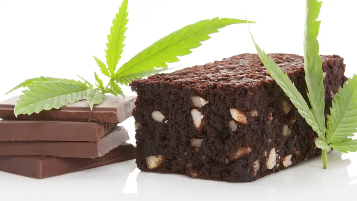 HOME | Green Leaf Central