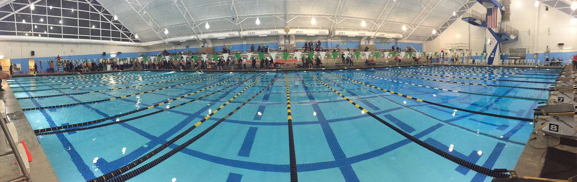 Record Board | LOHS Swimming