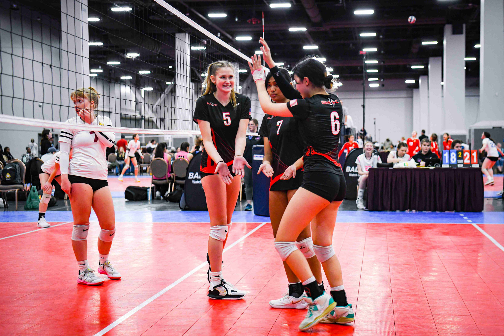 Home | Briana Lucchese | Clayton CA USA