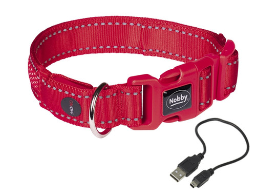Flash Mesh Collar | Pet HQ