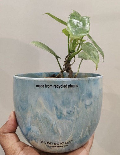 Recycled plastic pots | Econscious™ eco-pots | Econscious