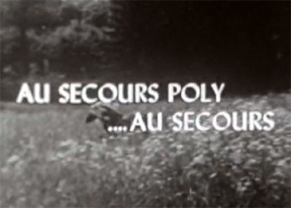Au secours Poly, au secours | Les aventures de Poly