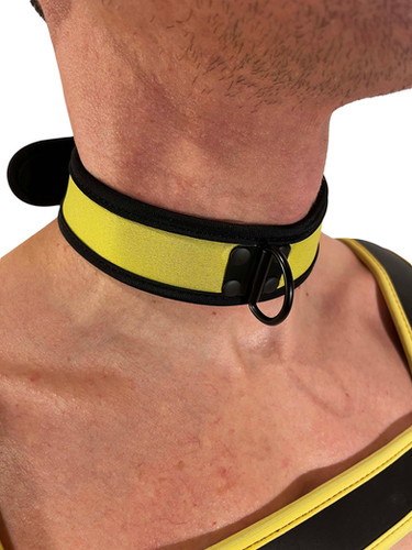 Neoprene Collar | Torso
