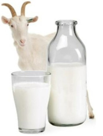 Raw Goat Milk | Asgard Raw Dog Food