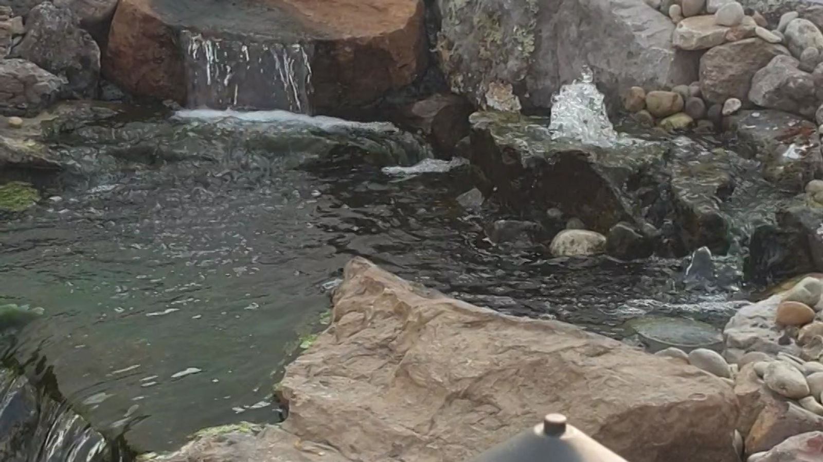 Missouri Pond Company