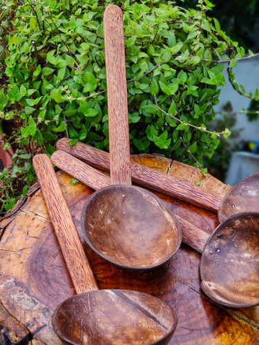 Coconut Shell Rice Serving Ladle | SAILEELA STORE