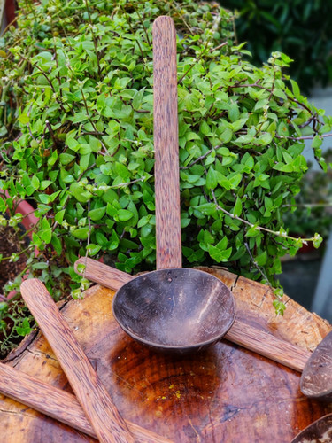 Coconut Shell Medium Ladle | SAILEELA STORE