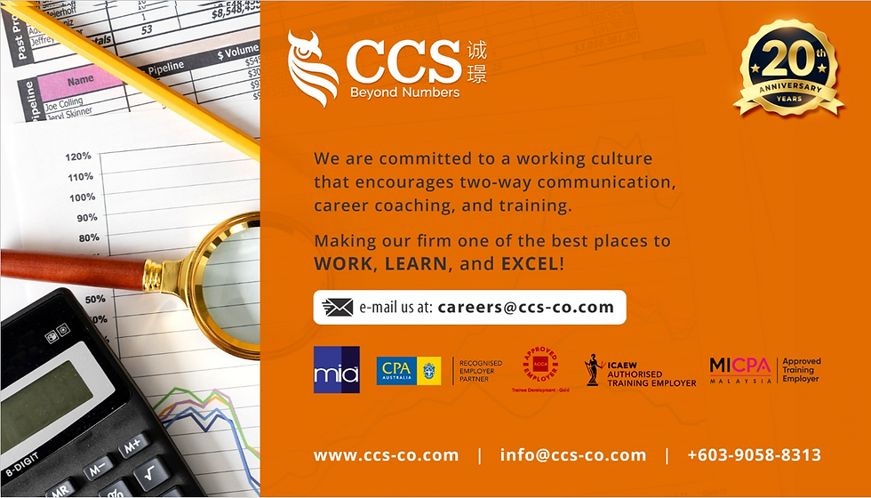 Overview of e-invoice issuance for transactions with the buyers