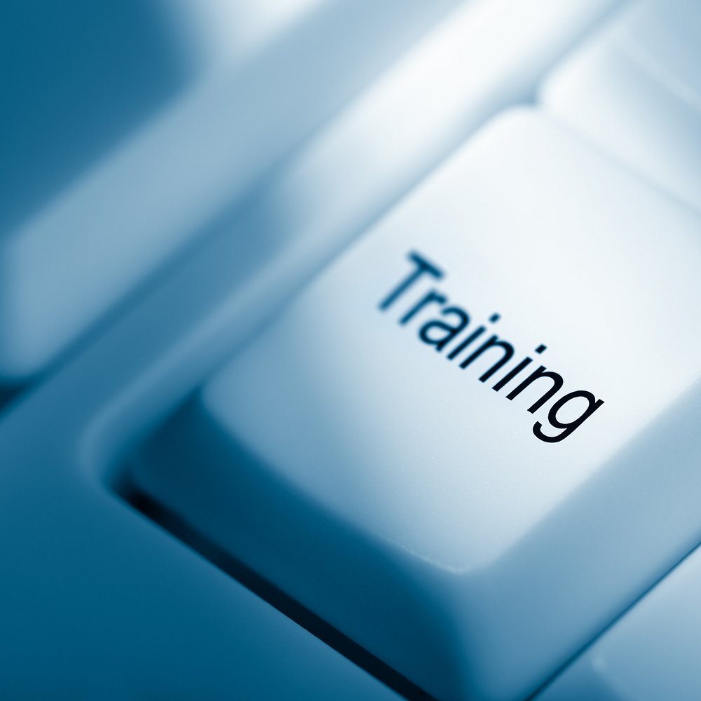 New Training Opportunity for 2024!