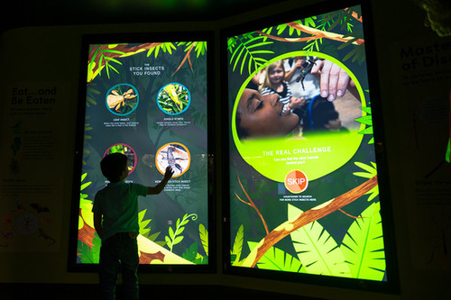 Interactive Digital Signage | Wildlife Restoration