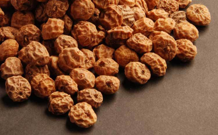 OMG! Tiger Nuts: The Original Paleo Food