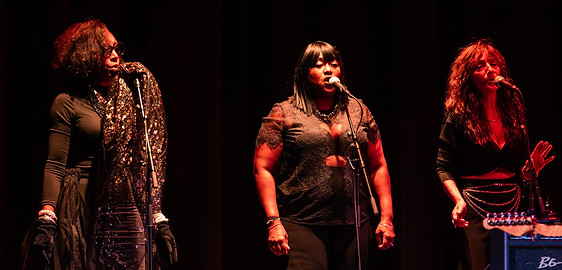 A Tribute to Bob Seger | Brave Strangers | Rochester, NY