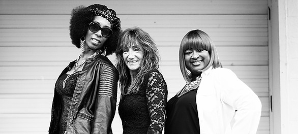 A Tribute to Bob Seger | Brave Strangers | Rochester, NY