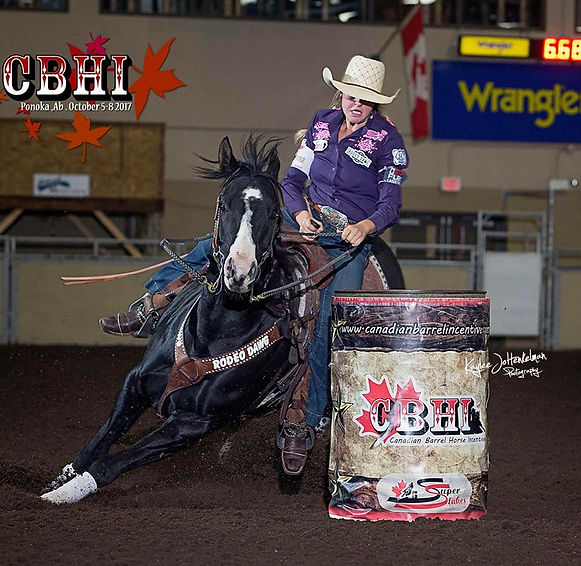 Rodeo Dawg - Estevan SK