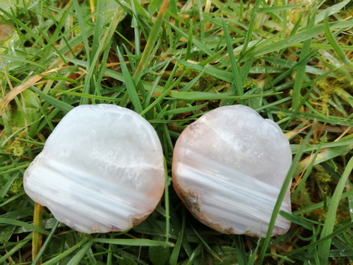Ayrshire Waterline Agate Crystal | The Stone Circle
