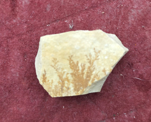 Dendritic Sandstone | The Stone Circle