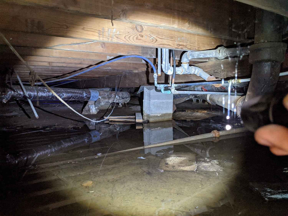 Top 3 Reasons Water in Your Crawl Space is BAD