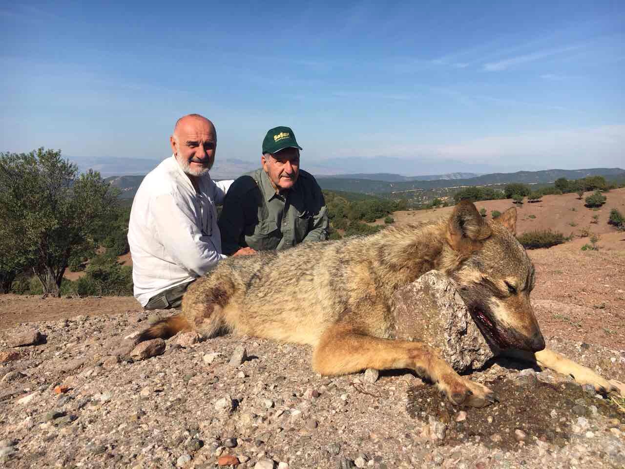 Hunts | Safari International Macedonia