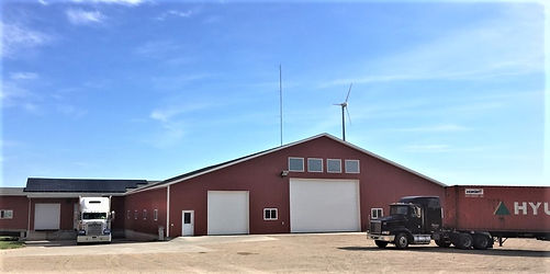 Seed Company | Falk Seed